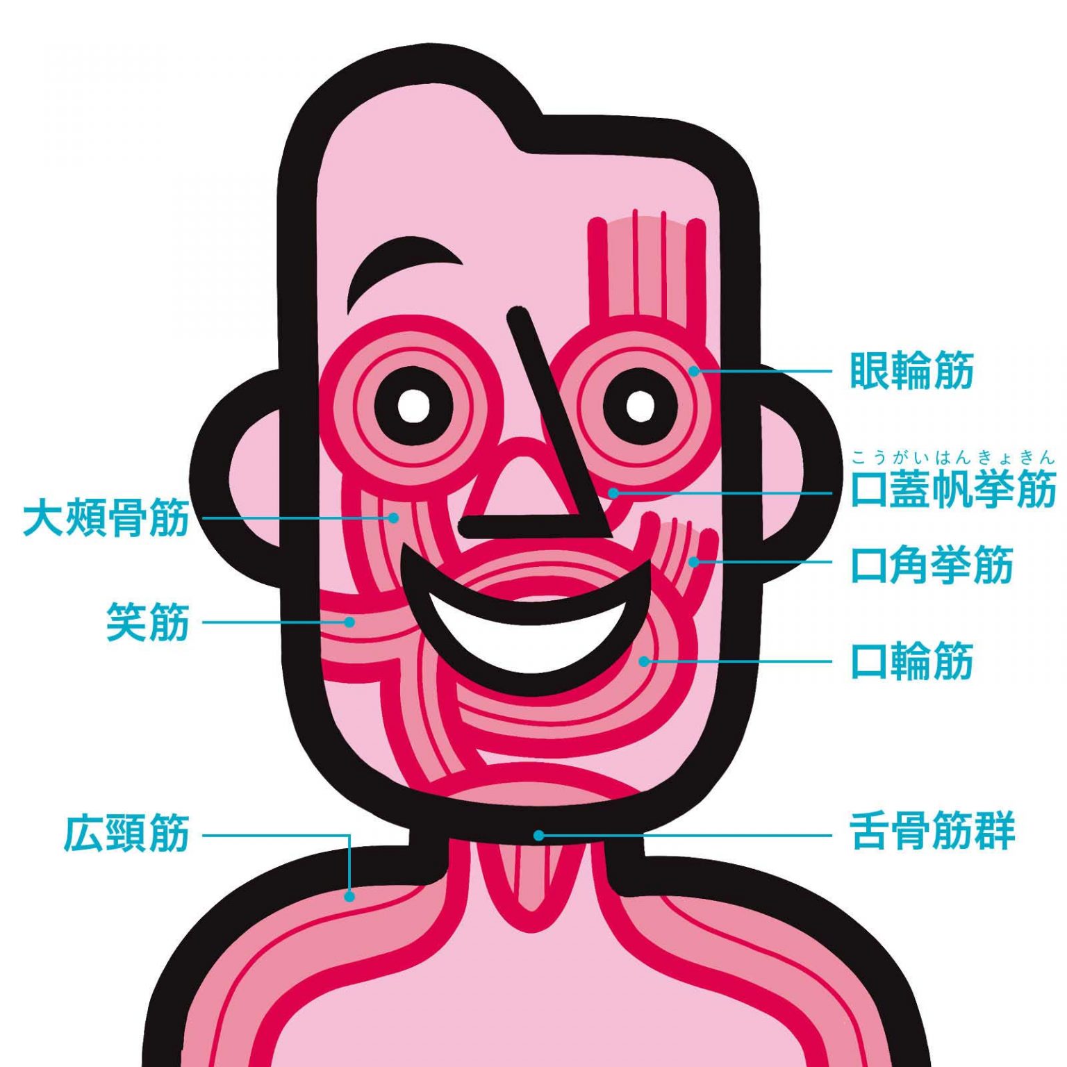 口呼吸の元凶「落ち舌」を改善！舌トレで鼻呼吸をスムーズに