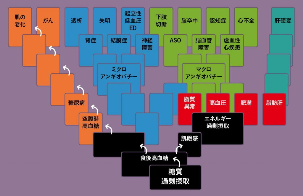 選ぶなら白米？チャーハン？ クイズで学ぶ「適正糖質」【前編】