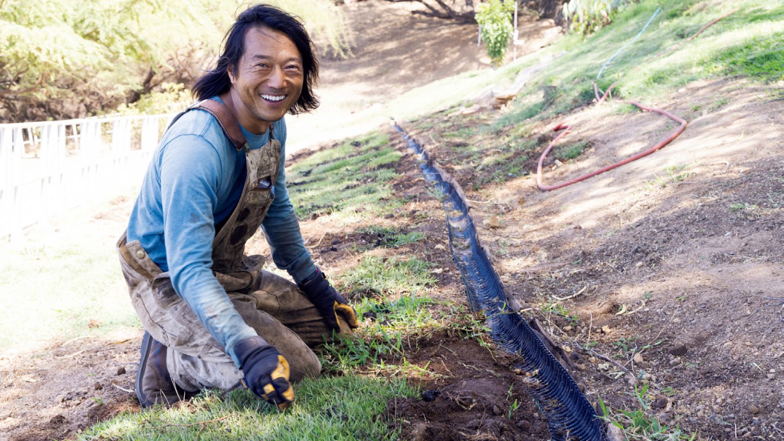 サーファーの自然復元活動でダイヤモンドヘッドが一変